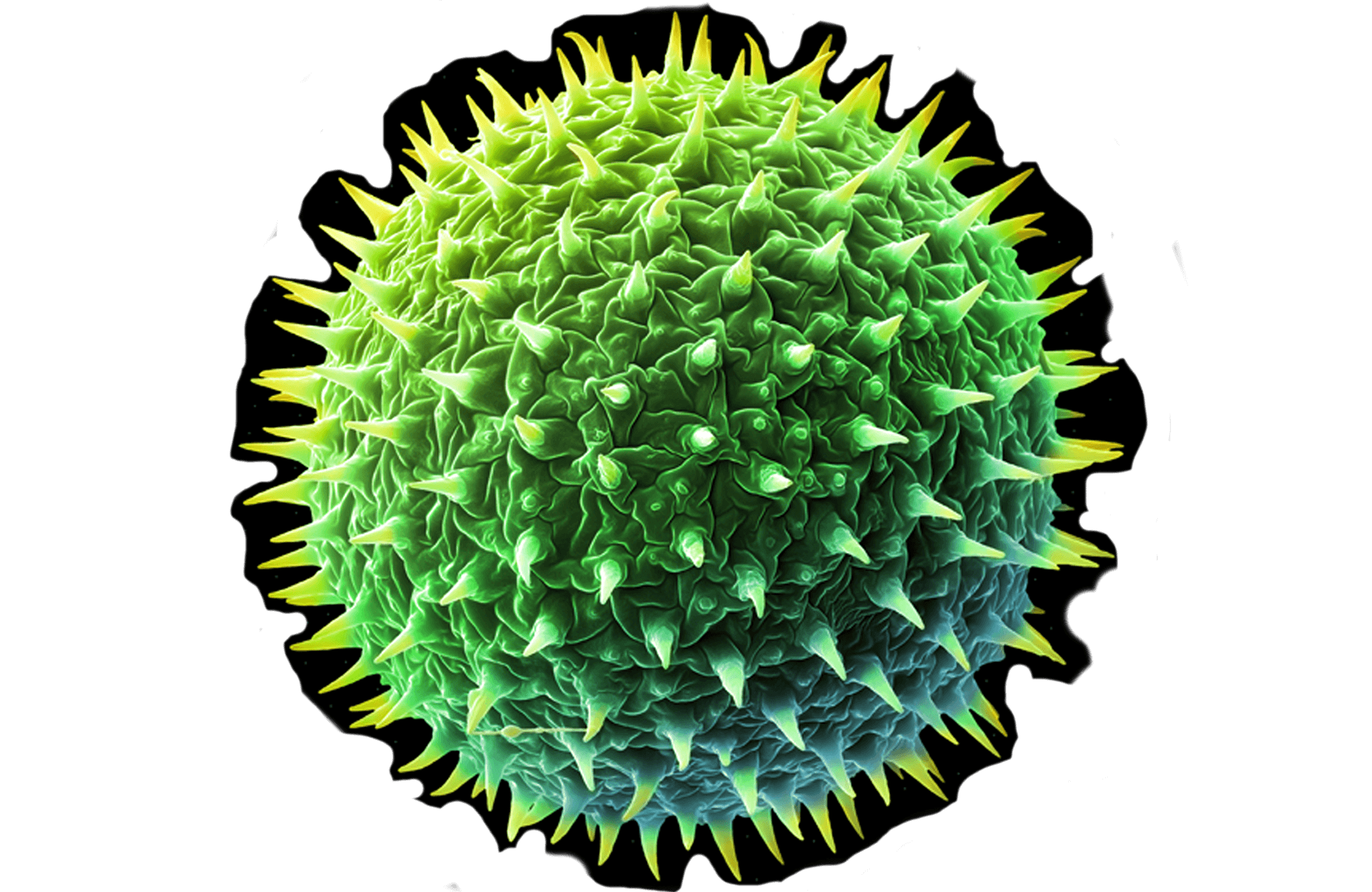 Life in microcosmos – Linear Imaging